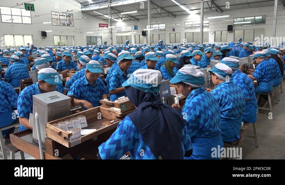 Female indonesian workers Stock Videos & Footage - HD and 4K Video ...