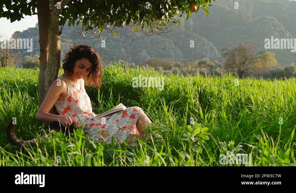 Drinking under the tree Stock Videos & Footage - HD and 4K Video Clips ...