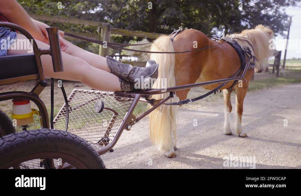 Pony tradition Stock Videos & Footage - HD and 4K Video Clips - Alamy