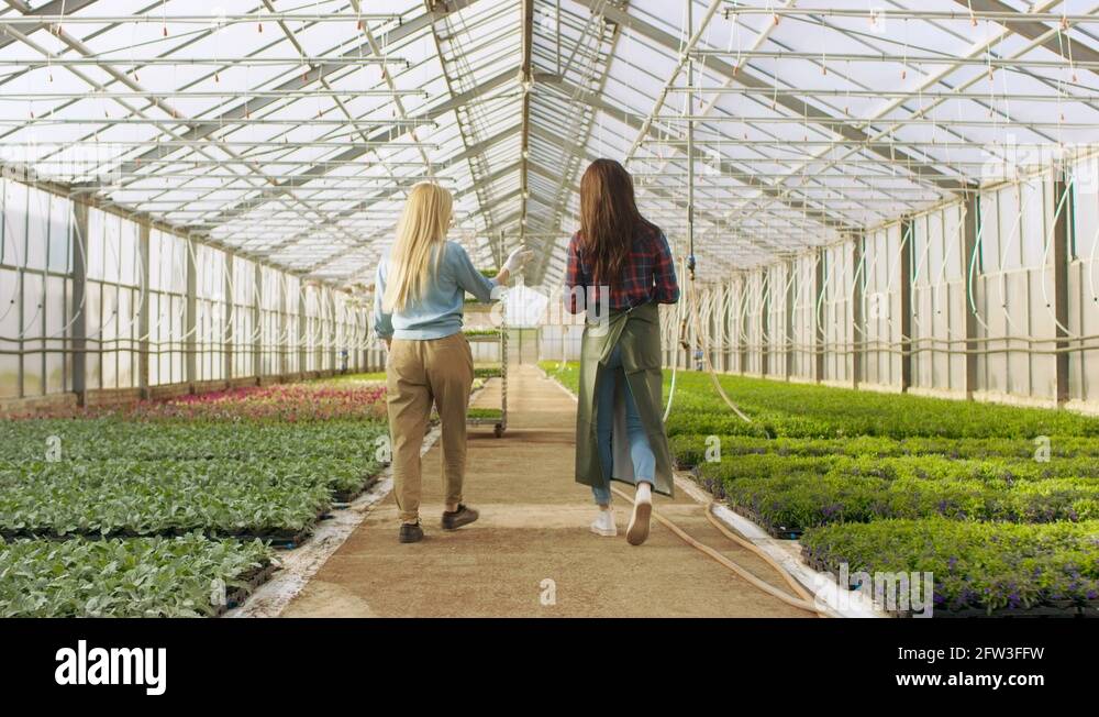 Professional teach Stock Videos & Footage - HD and 4K Video Clips - Alamy