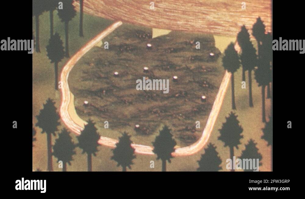 Light white border Stock Videos & Footage - HD and 4K Video Clips - Alamy