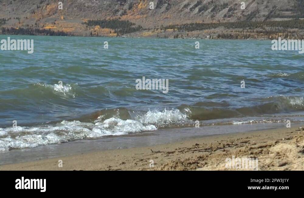 Knight beach Stock Videos & Footage - HD and 4K Video Clips - Alamy
