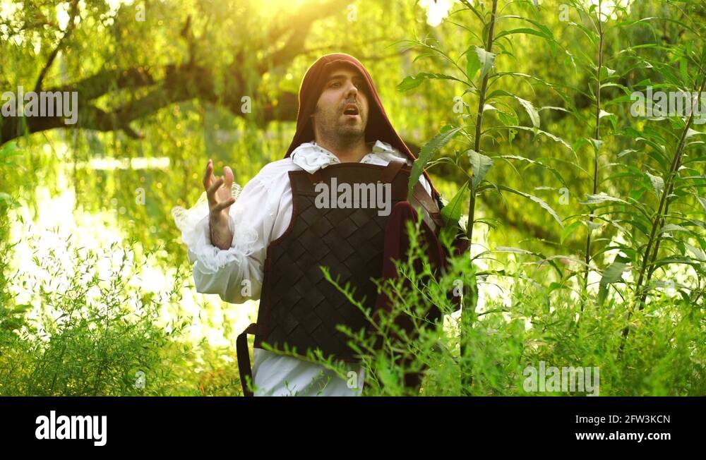 Medieval minstrel Stock Videos & Footage - HD and 4K Video Clips - Alamy