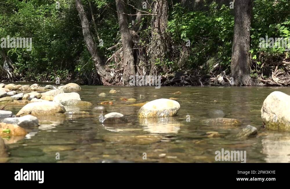 Clearwater viewpoint Stock Videos & Footage - HD and 4K Video Clips - Alamy