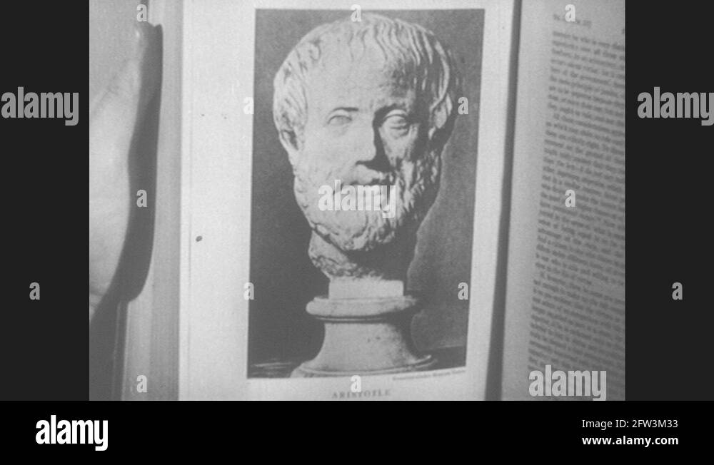 Man bust inside Stock Videos & Footage - HD and 4K Video Clips - Alamy