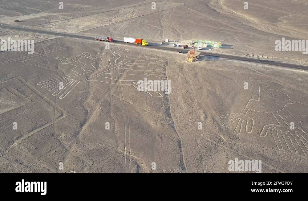 Nazca lines peru tree Stock Videos & Footage - HD and 4K Video Clips ...