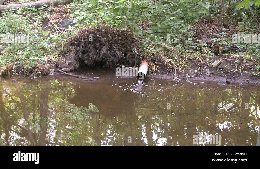 Water from a sewer pipe pouring out into a river Stock Video Footage ...