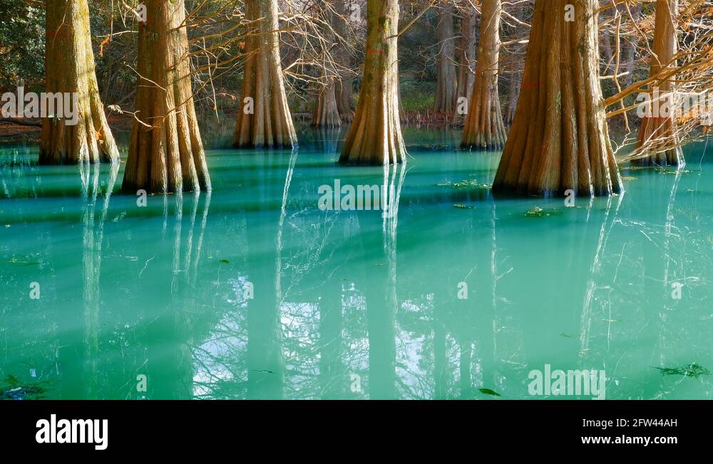 Green wate Stock Videos & Footage - HD and 4K Video Clips - Alamy