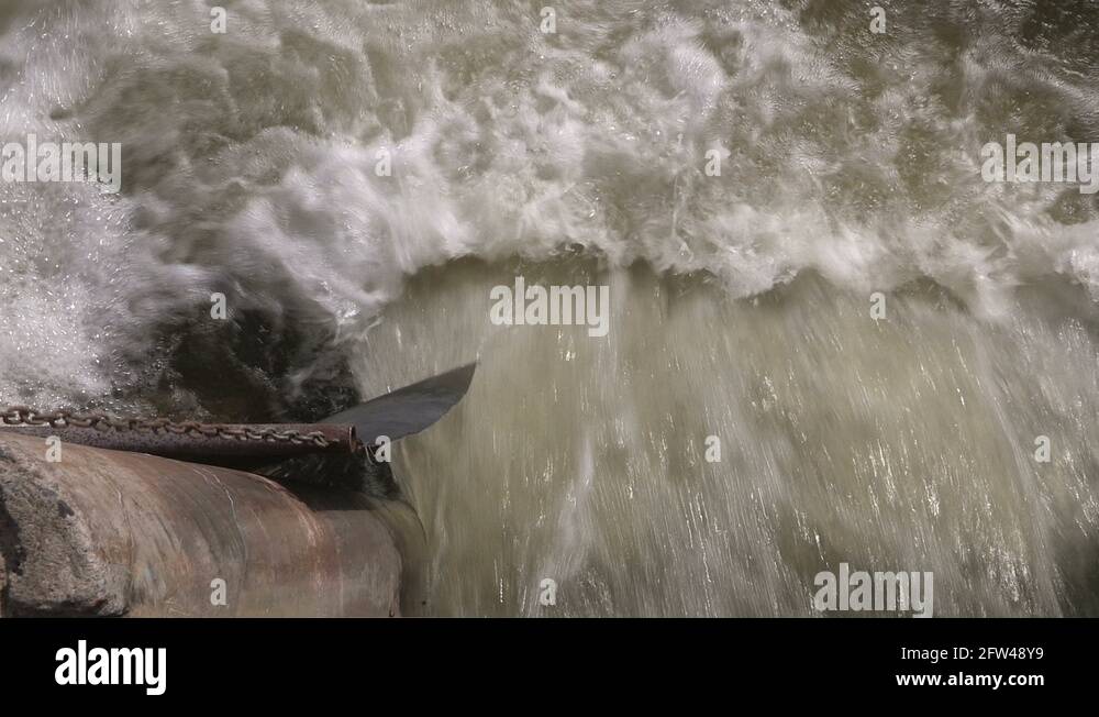 Salmon and trout jumping at dam and fish ladder during autumn spawning ...