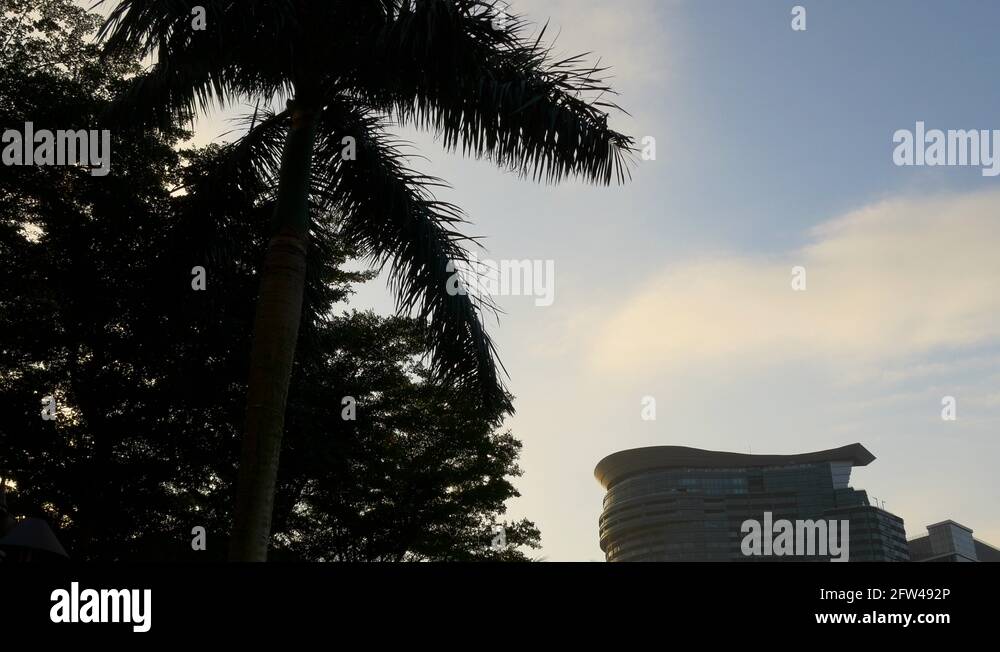 Macau park Stock Videos & Footage - HD and 4K Video Clips - Alamy