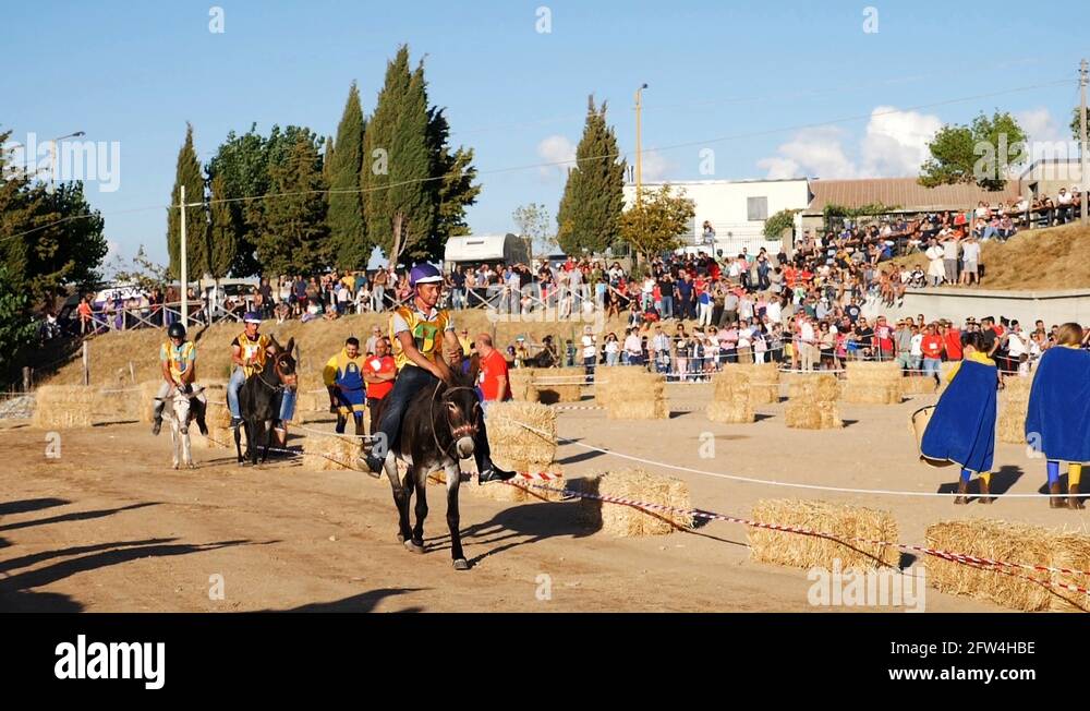 Donkey race Stock Videos & Footage - HD and 4K Video Clips - Alamy