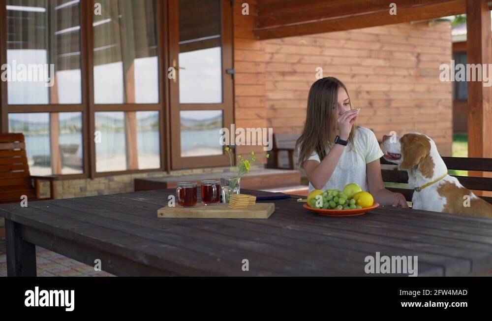 Biscuits for a dog Stock Videos & Footage - HD and 4K Video Clips - Alamy