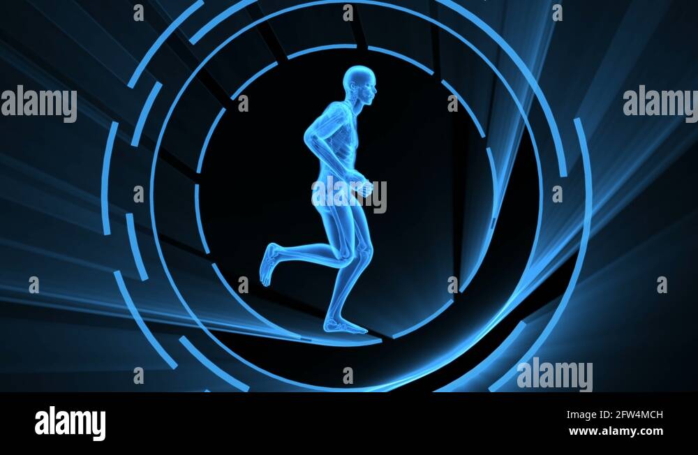 3D Animation of a Running Adult Male X-Ray With Seamless Loop Stock ...