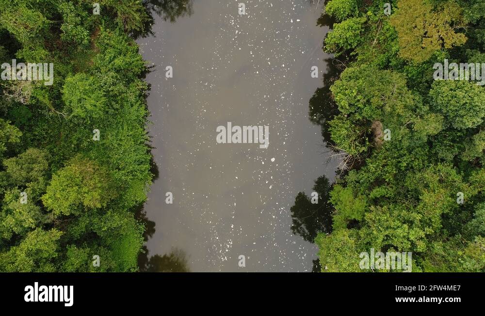 The amazon river pollution Stock Videos & Footage - HD and 4K Video ...