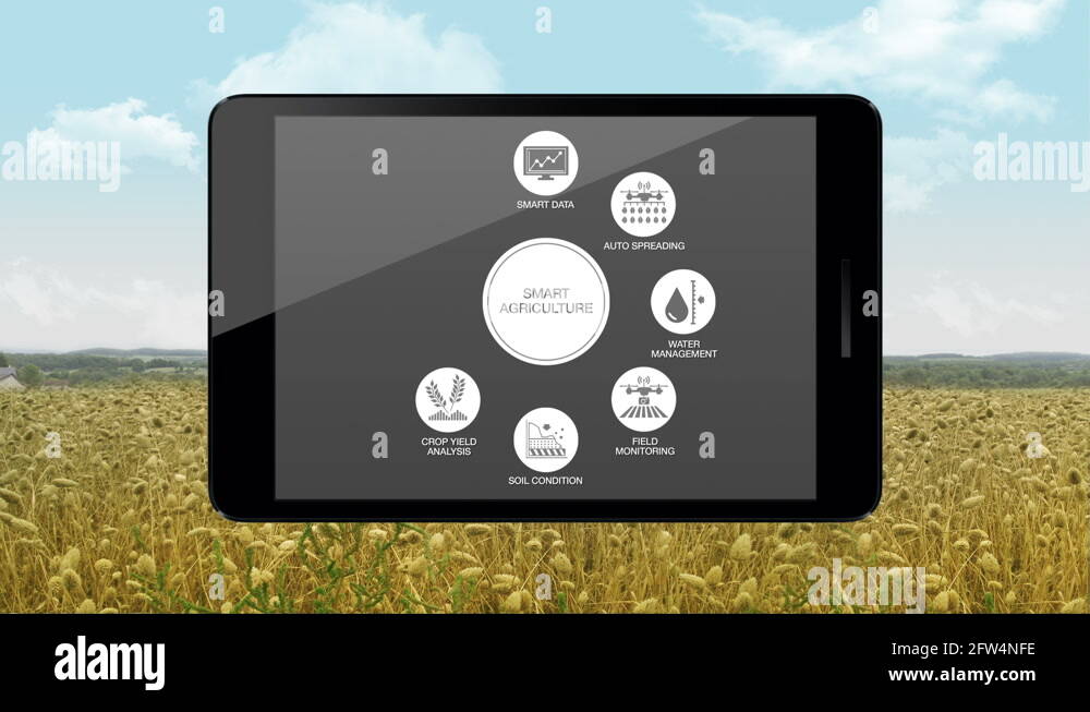 Smart agriculture Smart farming in smart pad, internet of things.1 ...