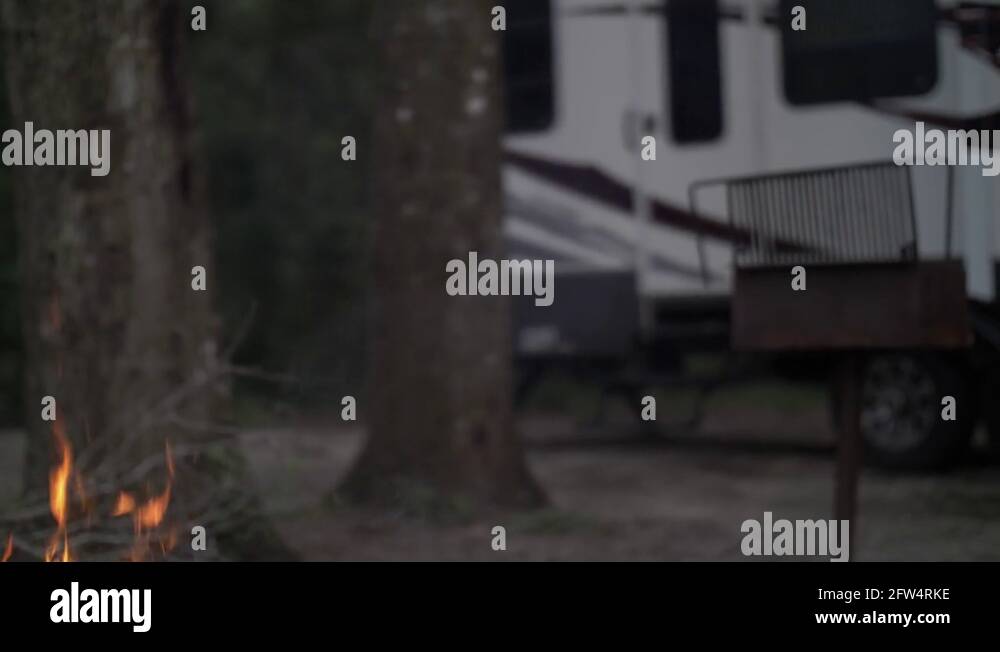 Wheel of fire tree Stock Videos & Footage - HD and 4K Video Clips - Alamy