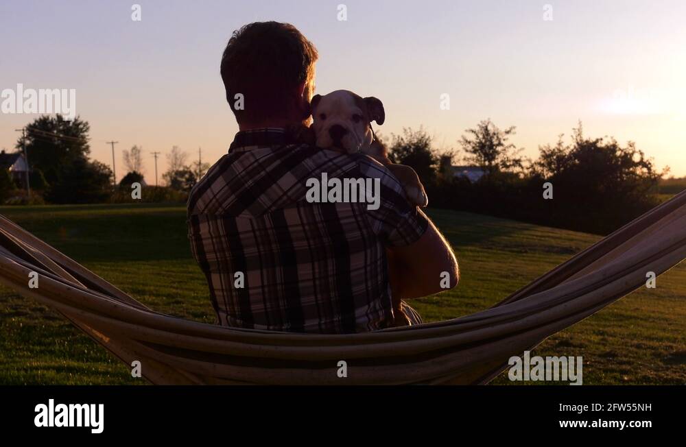 guy and his puppy bulldog in hammock hugging in sunset 4k Stock Video ...