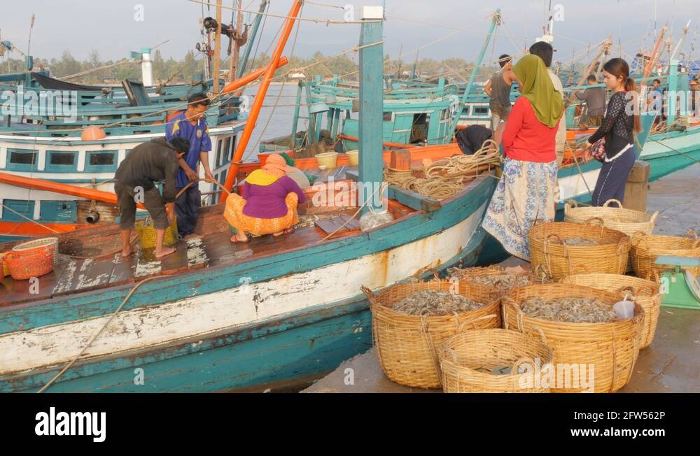 Fish fishing boat quay Stock Videos & Footage - HD and 4K Video Clips ...