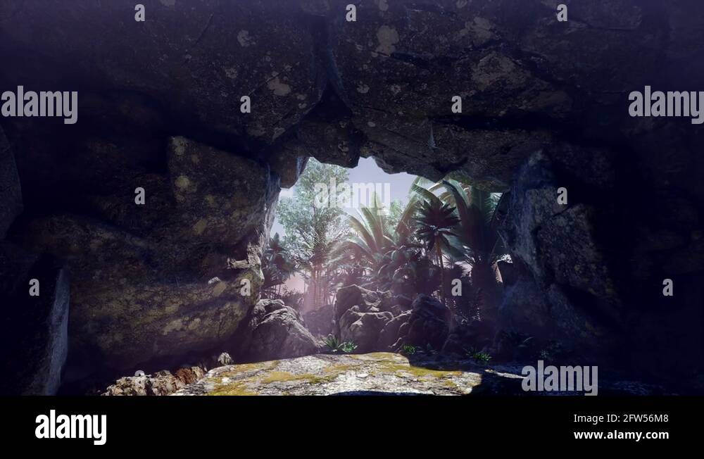 4k Jungle and rocks inside cave scene sliding Stock Video Footage - Alamy