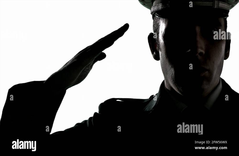 Army salute vector Stock Videos & Footage - HD and 4K Video Clips - Alamy