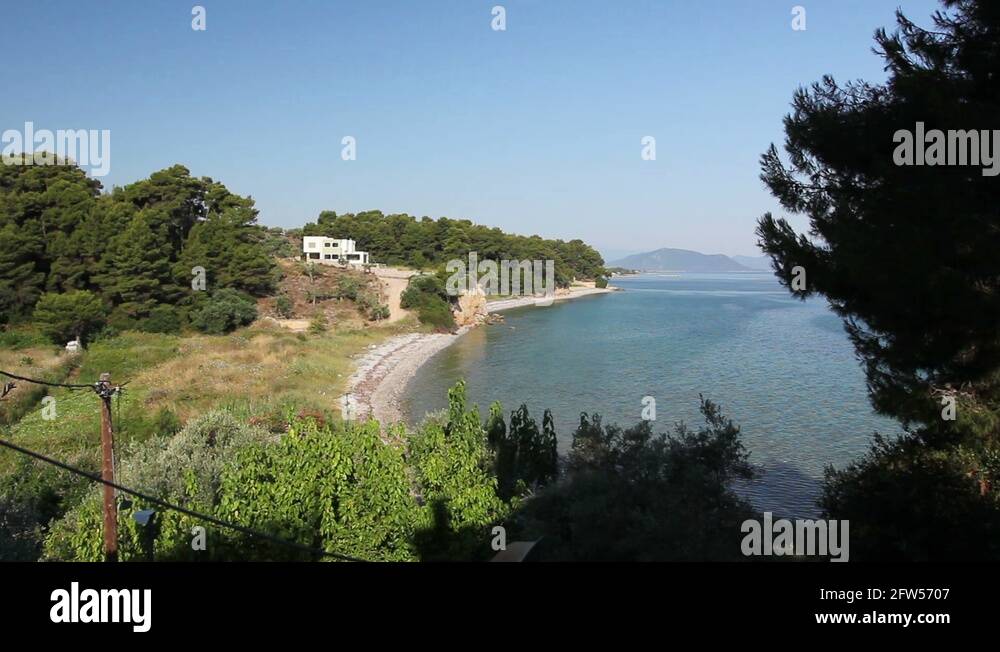Green bay tree Stock Videos & Footage - HD and 4K Video Clips - Alamy
