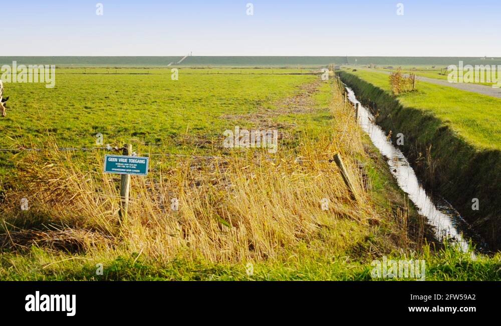 Bird protection Stock Videos & Footage - HD and 4K Video Clips - Alamy