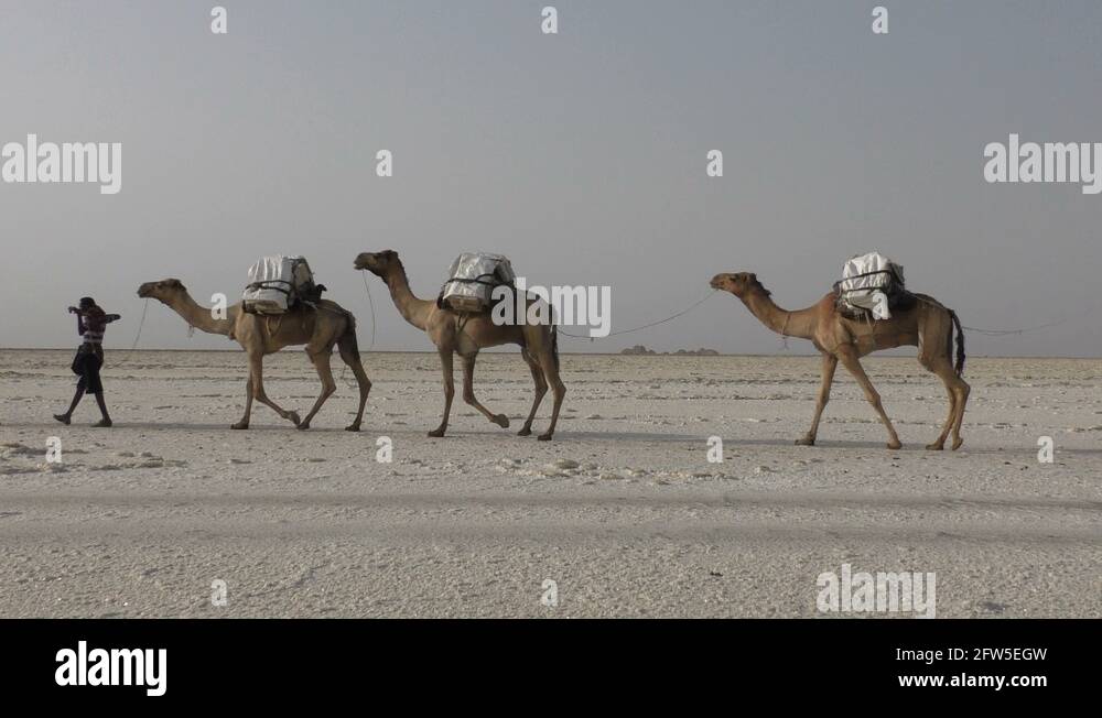 Ethiopia train djibouti Stock Videos & Footage - HD and 4K Video Clips ...