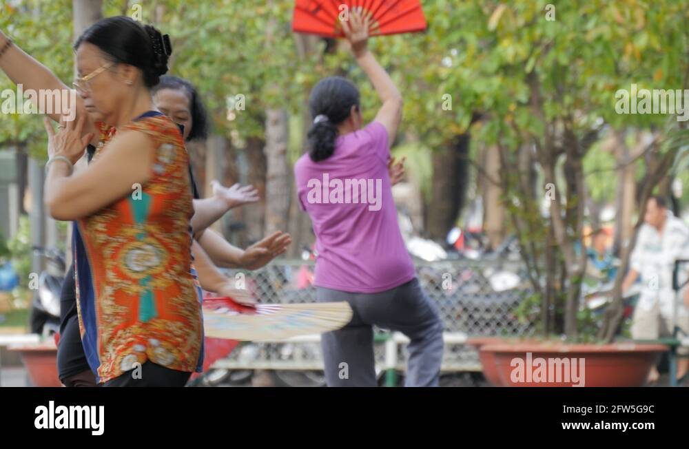 Vietnamese fan dance Stock Videos & Footage - HD and 4K Video Clips - Alamy