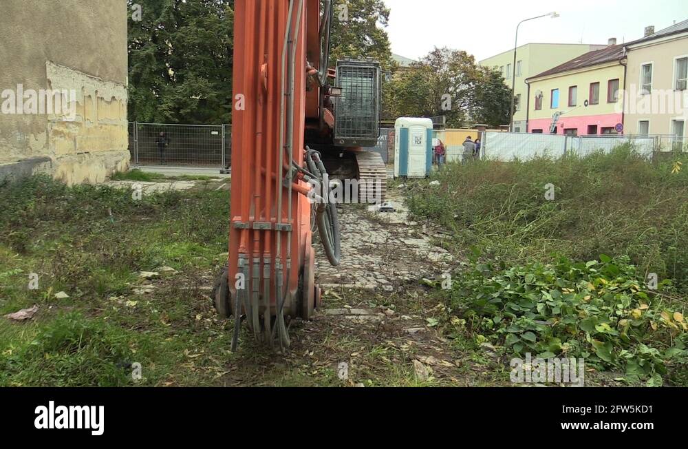 Poor vegetation Stock Videos & Footage - HD and 4K Video Clips - Alamy