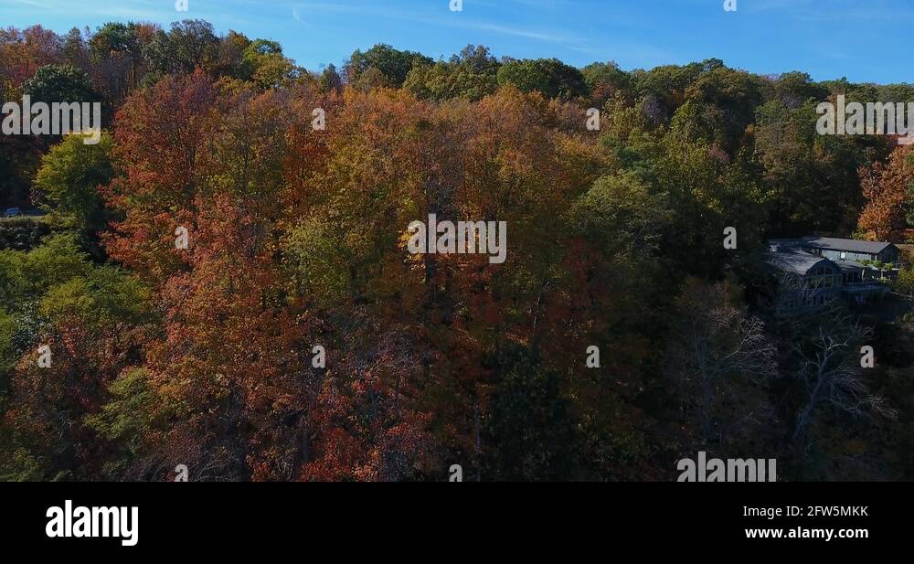 Ulster tree Stock Videos & Footage - HD and 4K Video Clips - Alamy