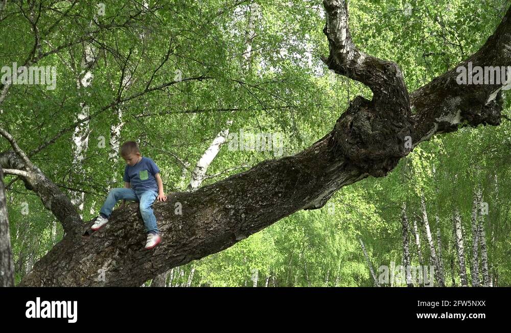 Boy jumping from tree Stock Videos & Footage - HD and 4K Video Clips ...