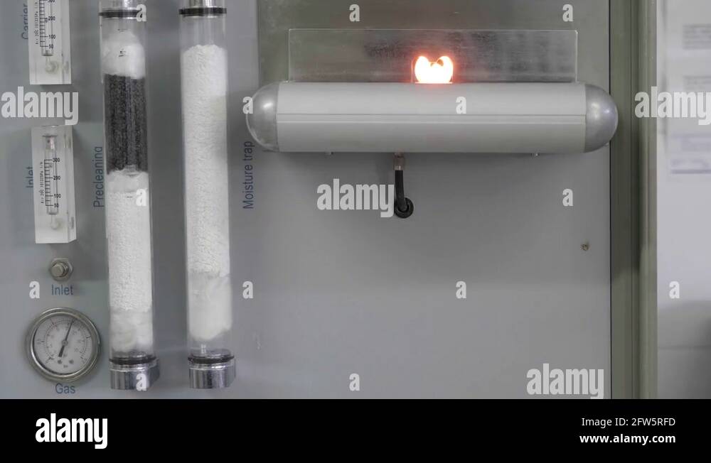 Biological determination Stock Videos & Footage - HD and 4K Video Clips ...