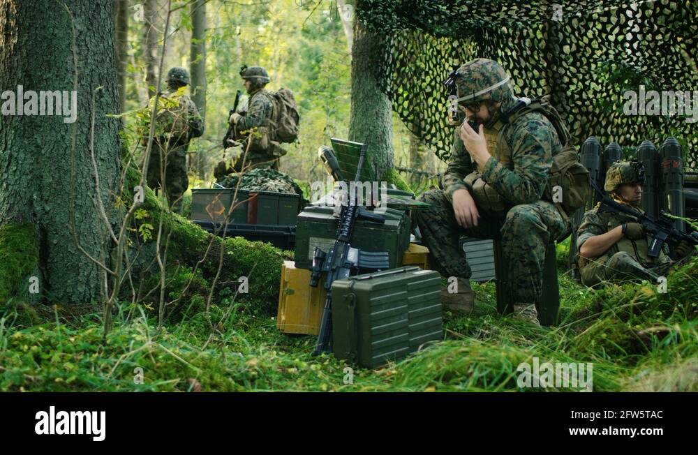 Army grade Stock Videos & Footage - HD and 4K Video Clips - Alamy