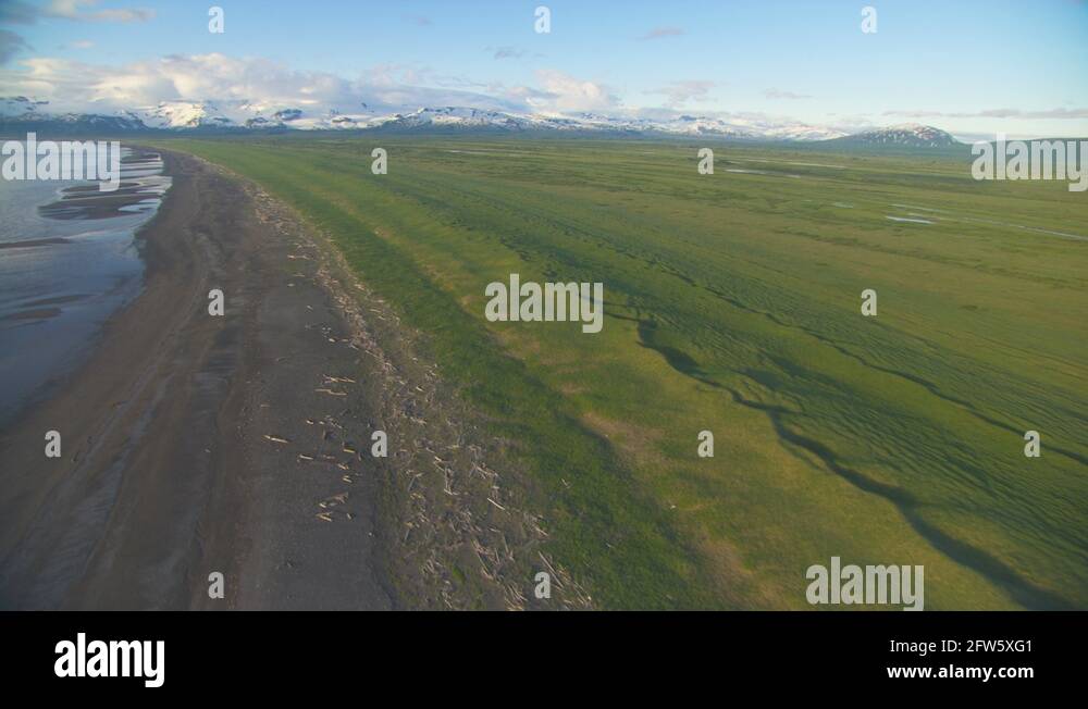 Lake mud Stock Videos & Footage - HD and 4K Video Clips - Alamy