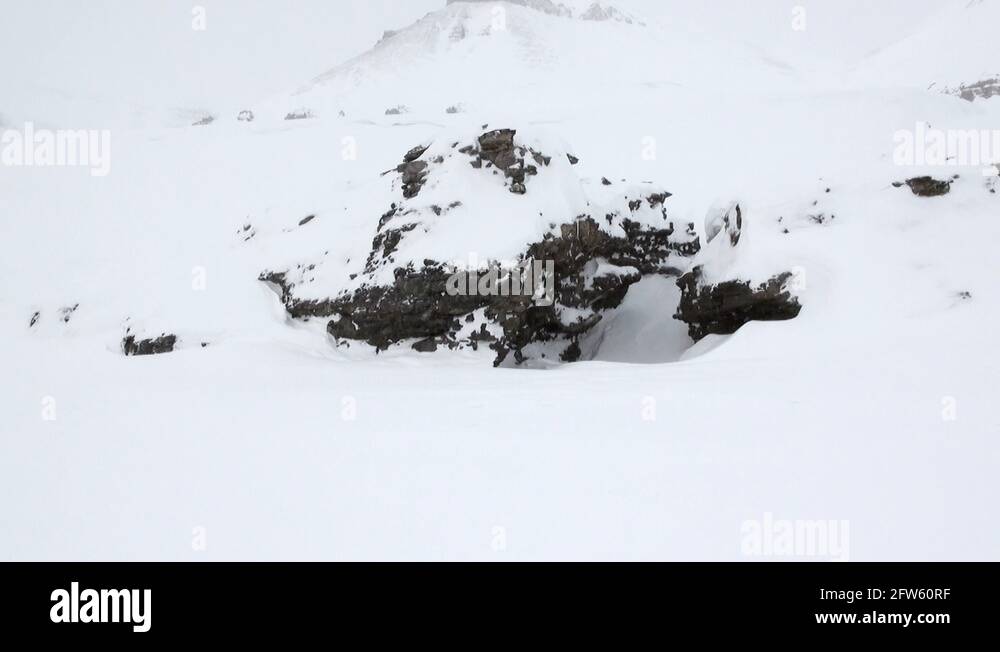 Landscape snowy desert North Pole Svalbard Arctic Stock Video Footage ...
