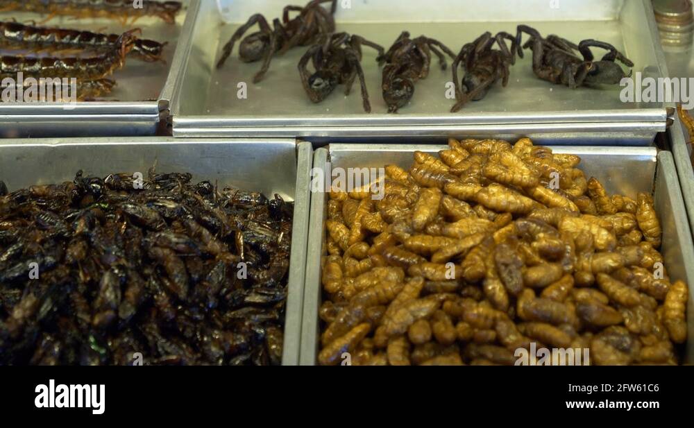 Eat spiders Stock Videos & Footage - HD and 4K Video Clips - Alamy