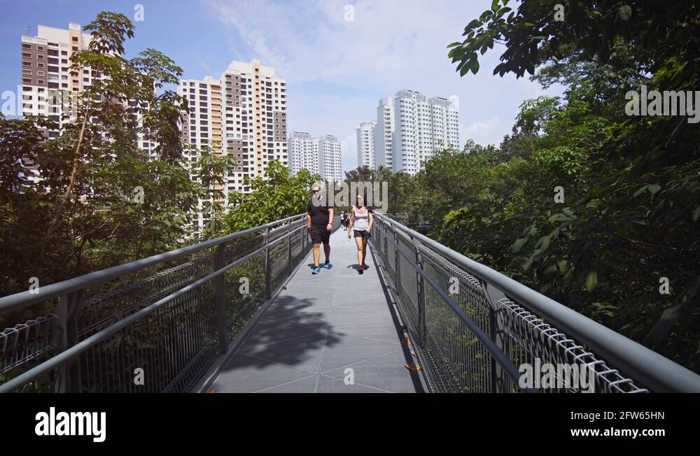 Elevated park walkway Stock Videos & Footage - HD and 4K Video Clips ...