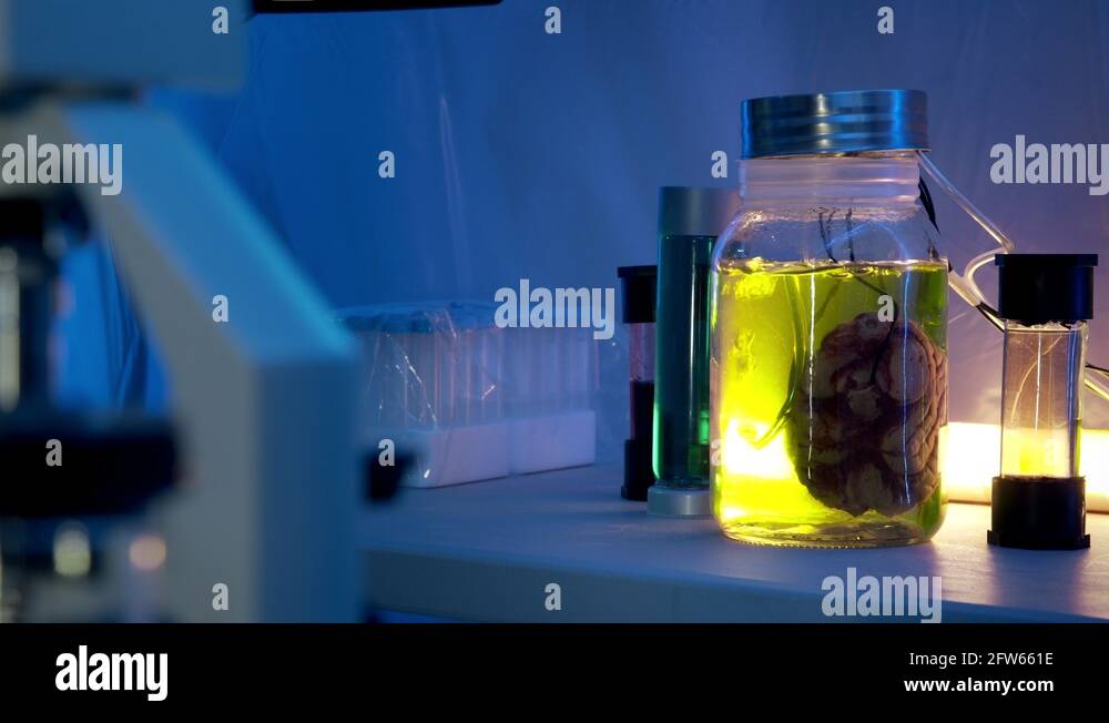 sci-fi looking scene in a hazmat lab of a brain in a specimen jar 4k ...