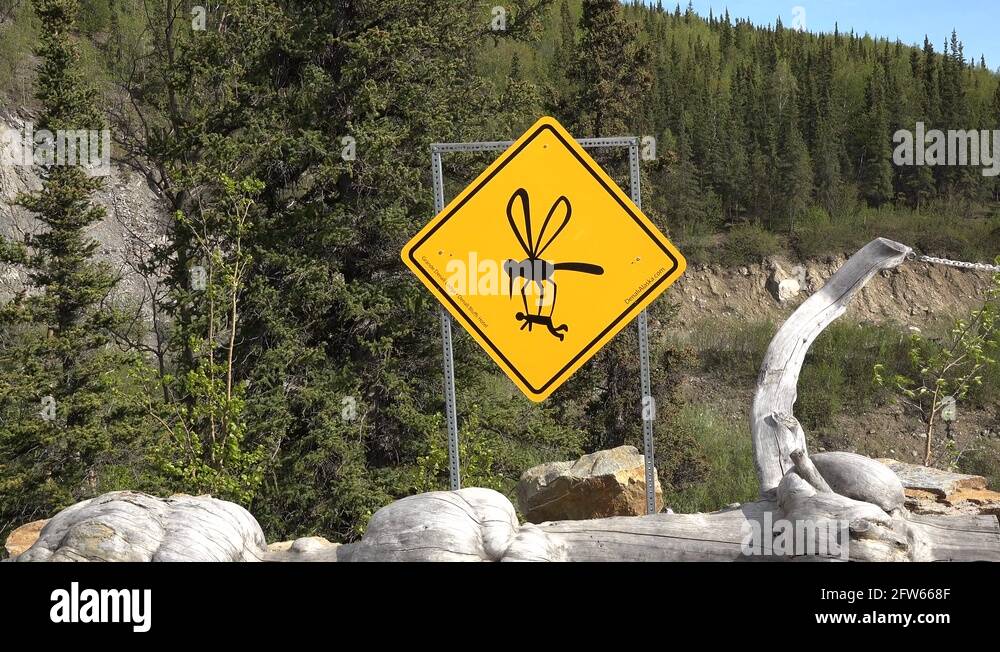 Mosquito warning sign Stock Videos & Footage - HD and 4K Video Clips ...