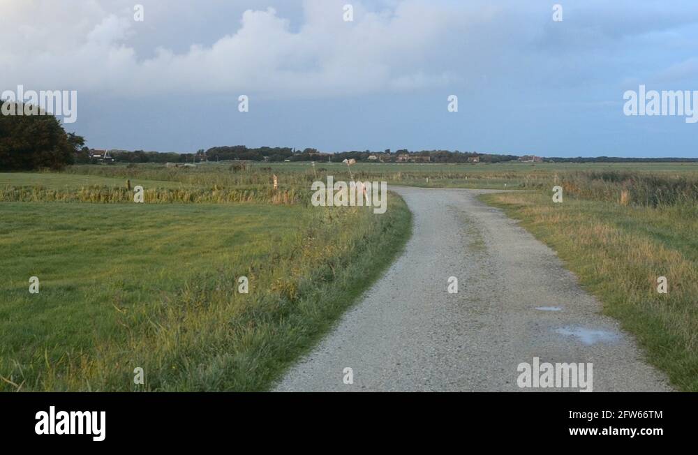 Dairy path Stock Videos & Footage - HD and 4K Video Clips - Alamy