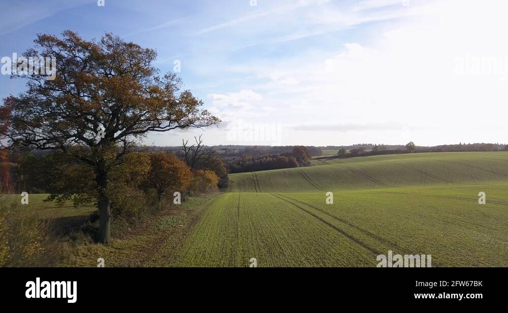 Drone nature uk Stock Videos & Footage - HD and 4K Video Clips - Alamy
