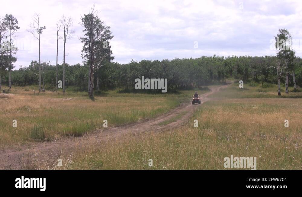 Four wheel fun Stock Videos & Footage - HD and 4K Video Clips - Alamy