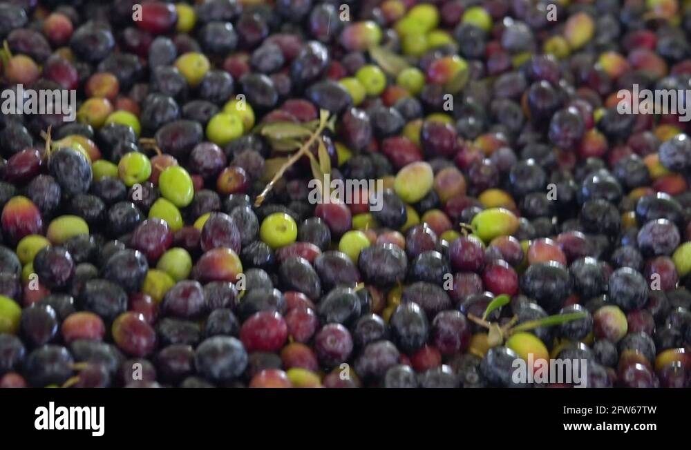 Olives press Stock Videos & Footage - HD and 4K Video Clips - Alamy