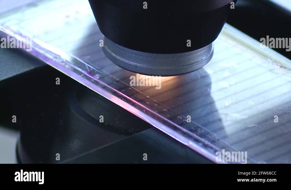 Microscope light detail laboratory microscopy Stock Videos & Footage ...