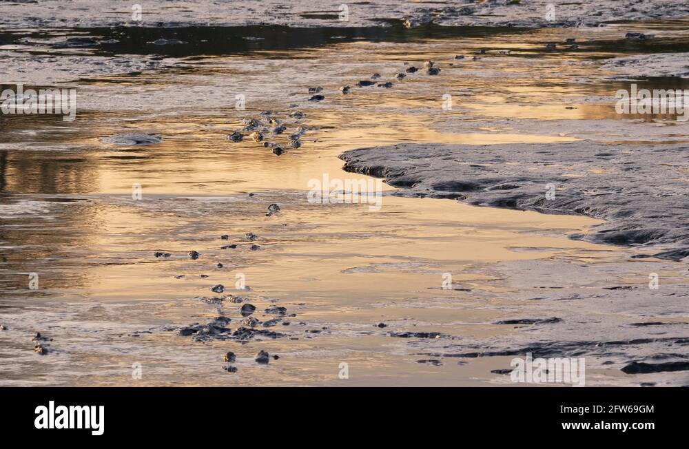 Bottom mud Stock Videos & Footage - HD and 4K Video Clips - Alamy