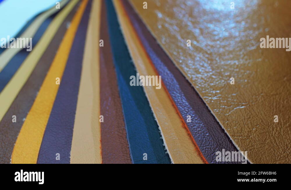 Structure, texture and surface pattern of rotation samples of skin ...