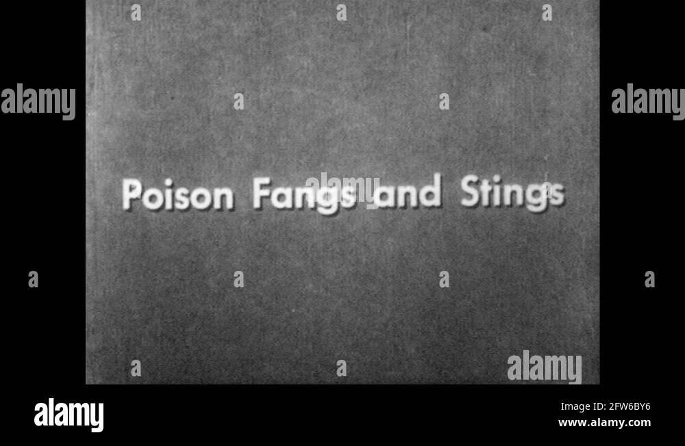 Poison stings Stock Videos & Footage - HD and 4K Video Clips - Alamy