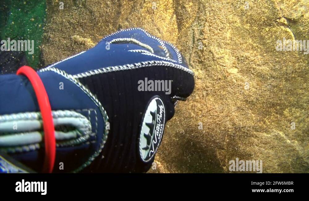 Coin underwater Stock Videos & Footage - HD and 4K Video Clips - Alamy