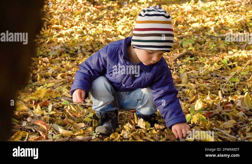 Boy In Shock - A young kid expression emotion of being in shock or ...