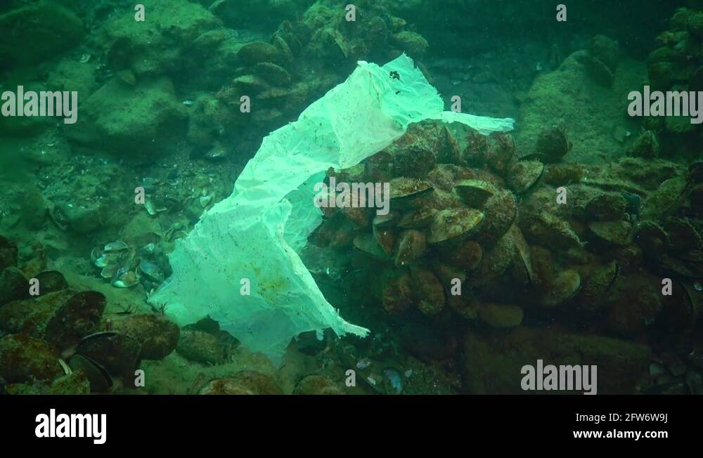 Plastic garbage and other debris floating underwater. Marine pollution ...